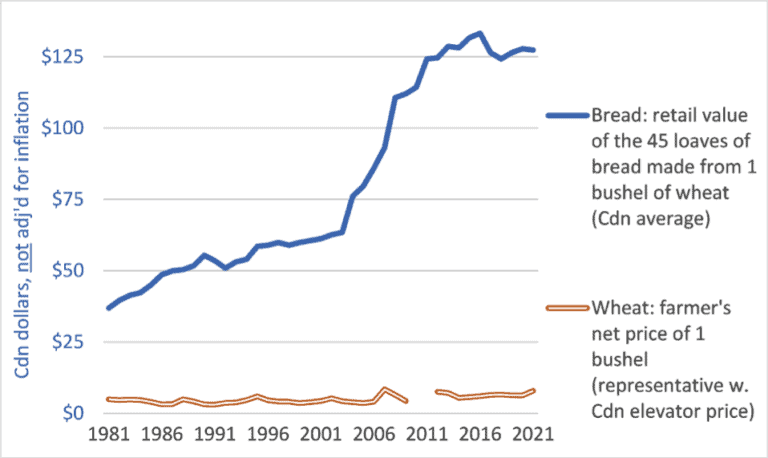 Who is taking the bread? The bottom line on the rise in food prices ...