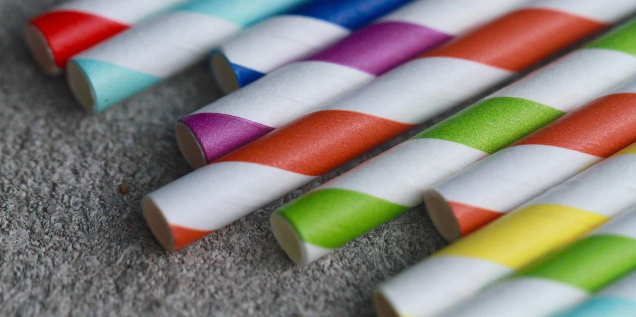 Smith lays down a red line Ottawa must not cross: mushy paper straws!