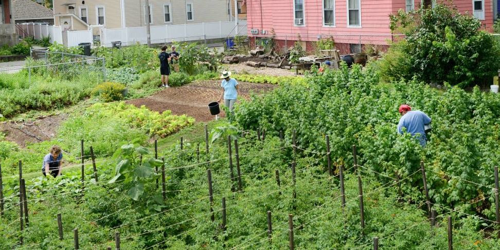 Common ground between the housing and farm crisis - rabble.ca