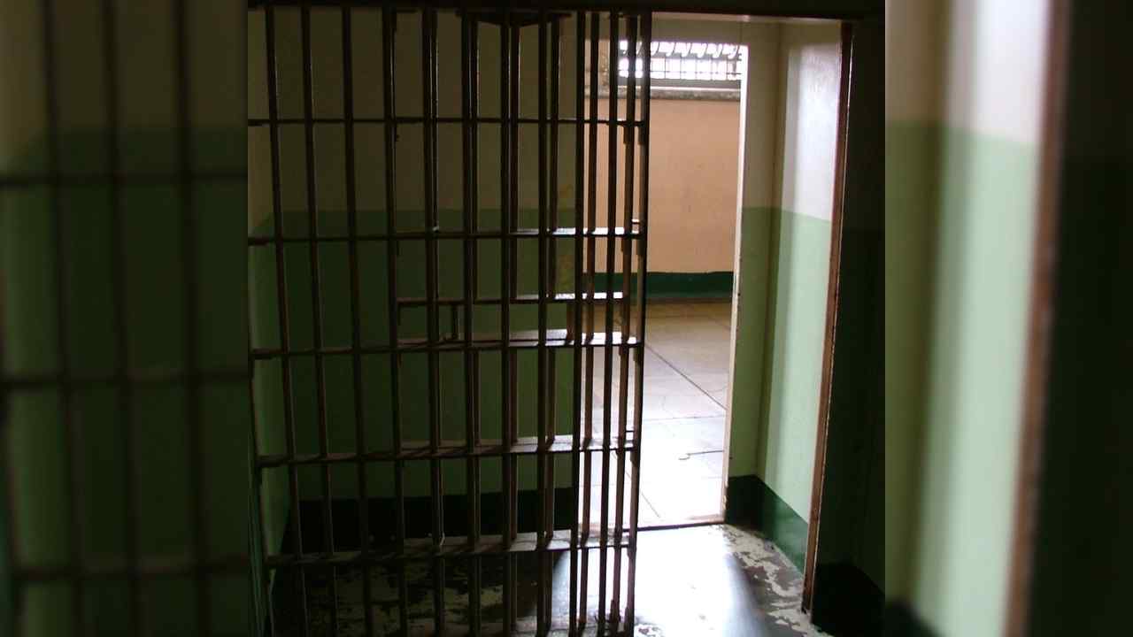 Senator Wanda Thomas Bernard is working to improve human rights in ...