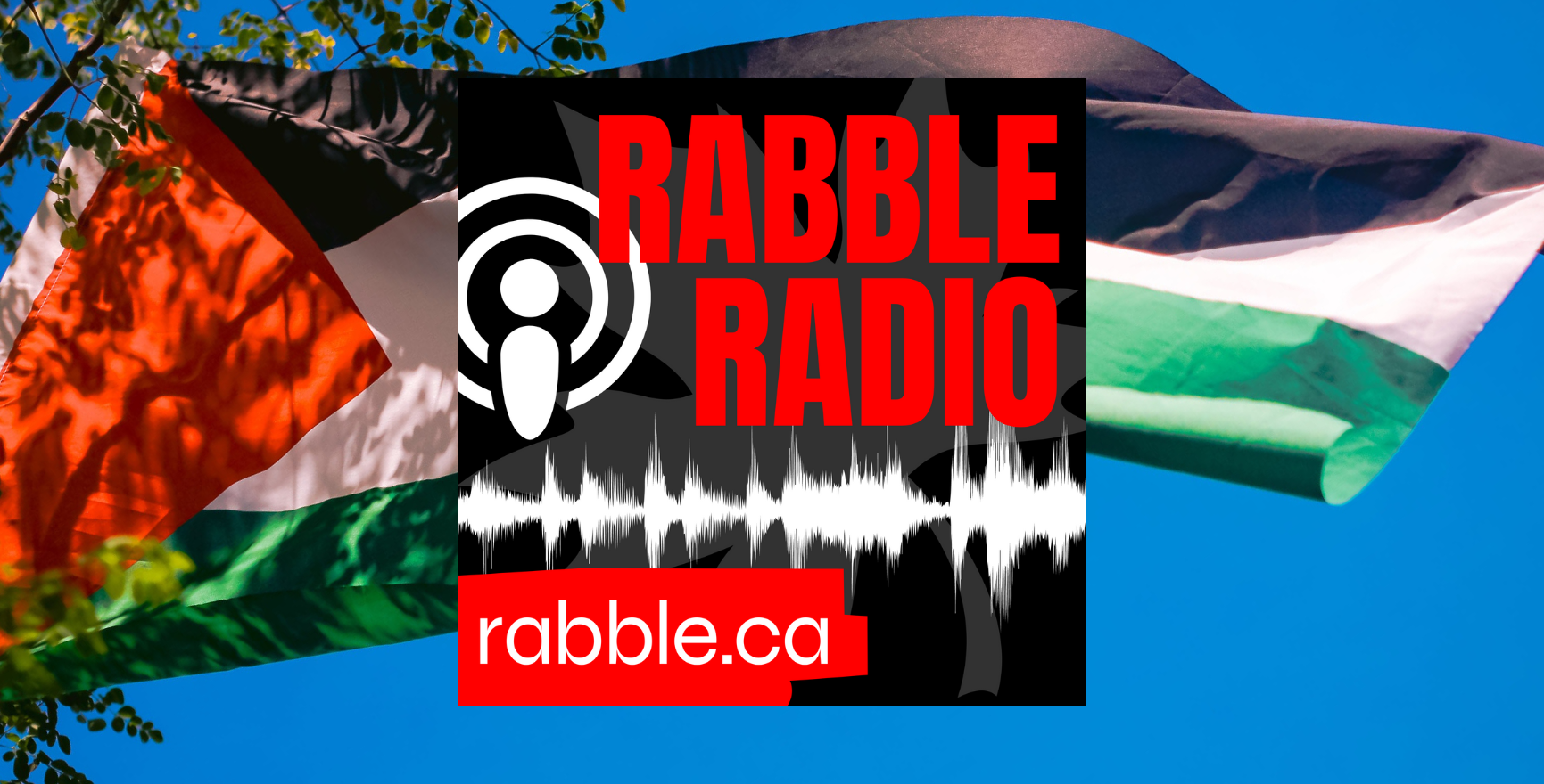 Inside the Global March to Gaza with Dr. Yipeng Ge | rabble.ca